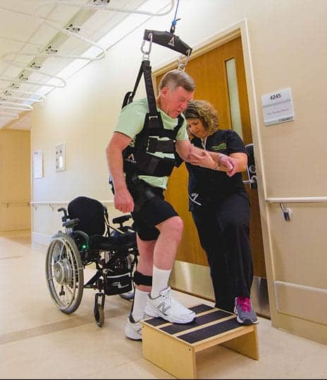Promoting Motor Recovery After Spinal Cord Injury - Rehab Management
