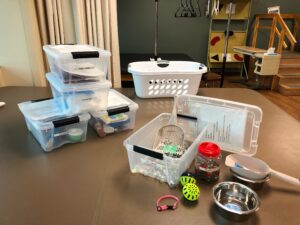 Standing Tolerance: Learning to Stand Before They Can Walk